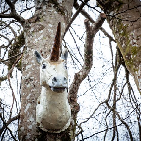 Doprovodný Program Folcon