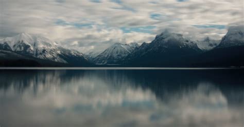 Chew The Cud Idiom Meaning And Origin The Village Idiom