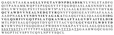 Xynd Peptidic Sequence N N Glycosylation Putative Site St