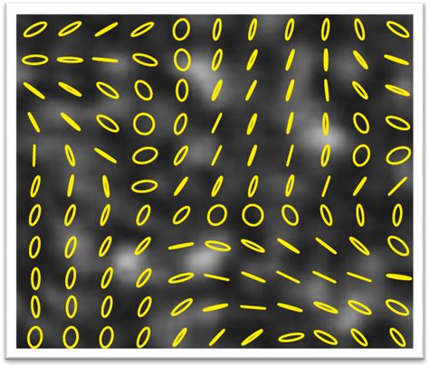 Color Online Polarization Speckles With Random Spatial Variation Of
