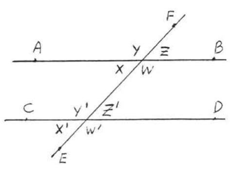 24 Parallel Lines Mathematics Libretexts