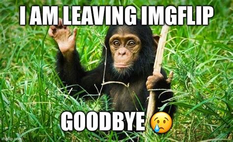 Funny Goodbye Memes Bye 😂 Funny Funnytiktok Funnyvideos😂