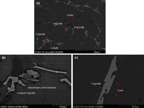 5 The Microstructure Of The Alloys After 300 Hours Of Creep At 300 O C
