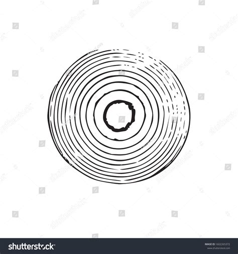 Tree Trunk Rings Annual Tree Growth Stock Vector Royalty Free