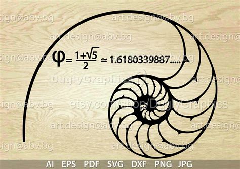 Fibonacci Spiral Vector Golden Ratio Graphic Digital Download Etsy