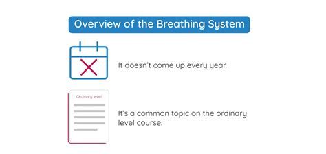 The Breathing System At A Glance Studyclix