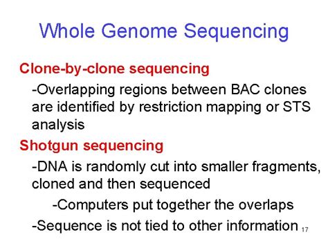 Genomics Chapter 18 Mapping Genomes Maps Of Genomes