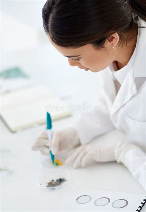 Research Writing And Woman Or Scientist With Pen To Label Petri Dish
