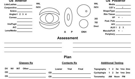 Ophthalmology Exam Template Pin Basic Layout Of The Home Page On