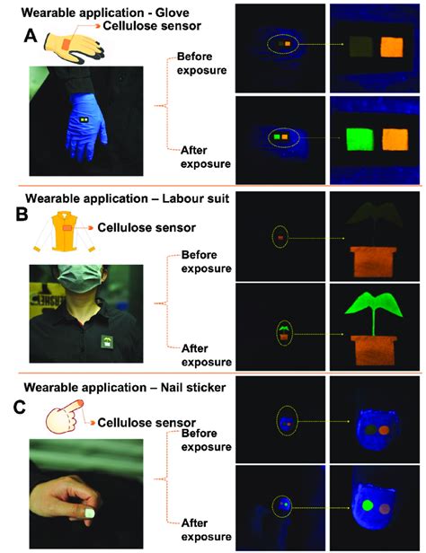Photographs Showing Wearable Sensor Films Imbedded In A A Glove B