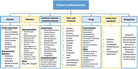 Alcoholic Cardiomyopathy Dilated