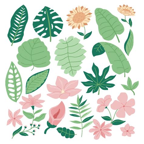 Conjunto Vintage De Flor Tropical Verde Colección De Follaje Con