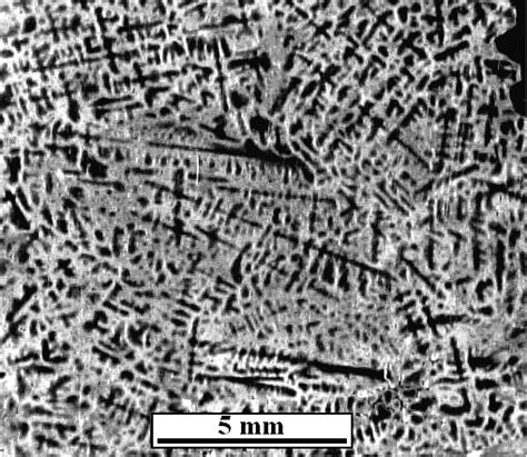 A Typical Solidification Dendritic Structure Of Aa 7075 B Globular