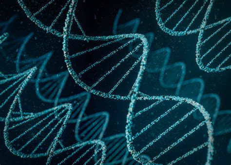 Polymers Polysciences