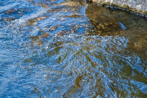 Dreckiges Sauberes Wasser Bilder Kostenloser Download Auf Freepik