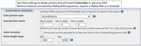 the primer blast interface