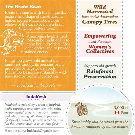 Macambo Nuts — Imlakesh Organics