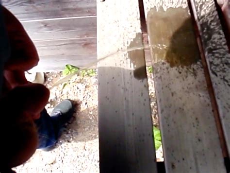 Pissing On Bus Stop Seat