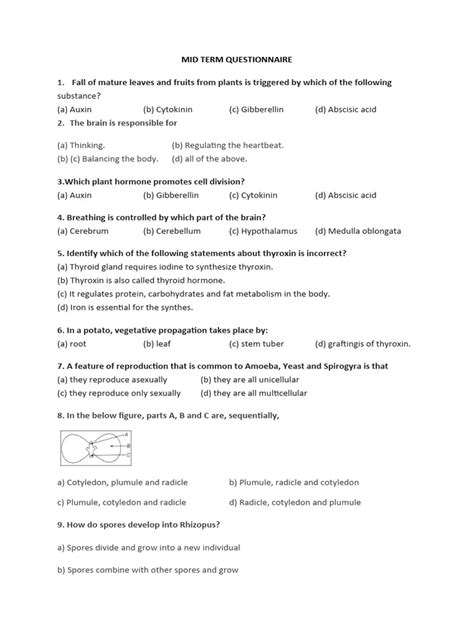 X Bio Midterm Questionnaire 2425 Pdf Dominance Genetics Zygosity
