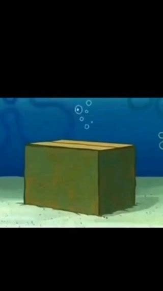 Spongebob Patrick Squidward Sandy