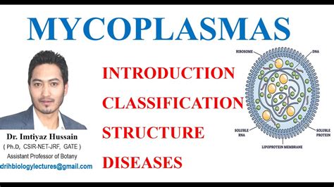 Mycoplasmas Pplo Joker Of Microbiology Mycoplasma Youtube