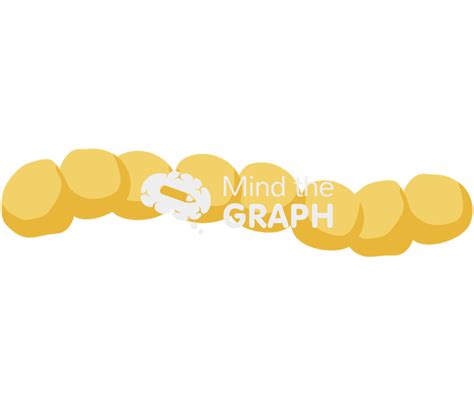 Streptococcus Bacteria