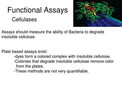 Ppt Weekly Update On New Parts And Functional Assays For Cellulases