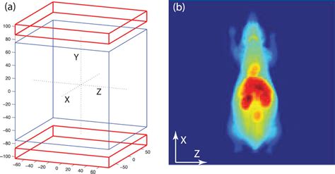 A Set Up Of The Imaging System Used For The Simulations The Red Download Scientific Diagram
