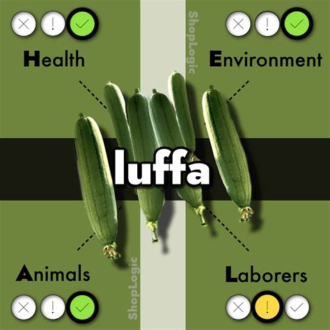 Top Luffa Benefits Side Effects