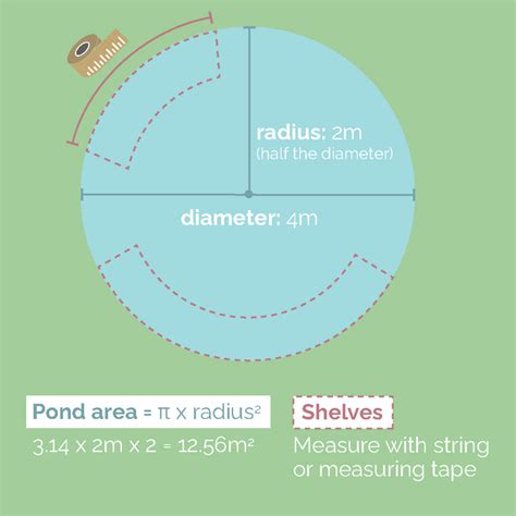 How To Measure Your Pond Plants For Ponds