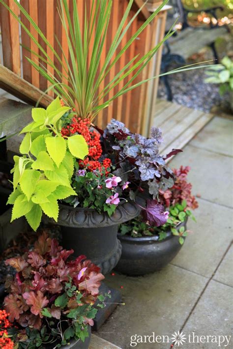 Container Plants For Shade Uk At Ruth Madison Blog