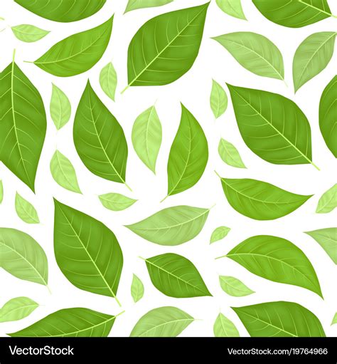 Green Leaves Seamless Pattern Background Vector Image