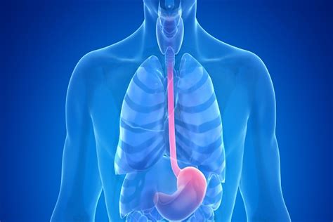 After Esophagectomy The Patient Experience Gastrointestinal Cancers