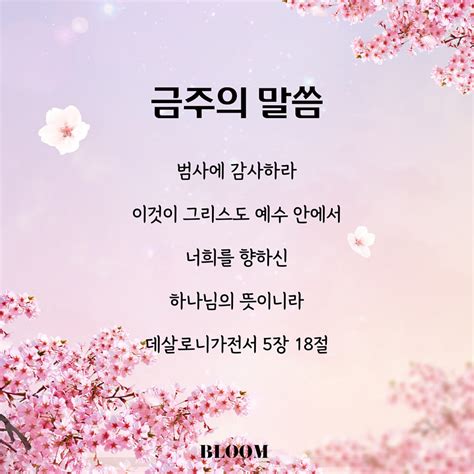 금주의 말씀 ☑️ 범사에 감사하라 이것이 그리스도 예수 안에서 서울신학대학교 관광경영학과 학생회