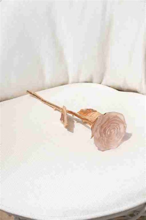 Rose Eternelle Powder Pink Rose Daum Singapore