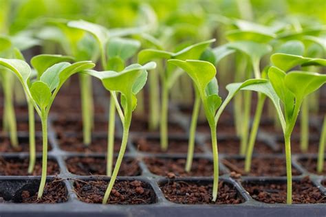 Home My Recycled Content By Rigk