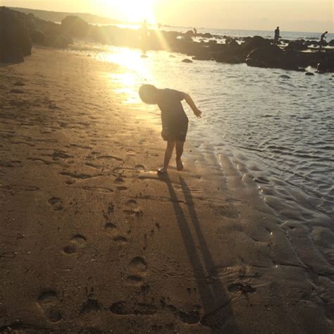 Alenki 線上商店 蝦皮購物