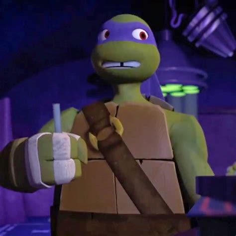 Donnie Tmnt Tortues Ninja Ninja Tortue