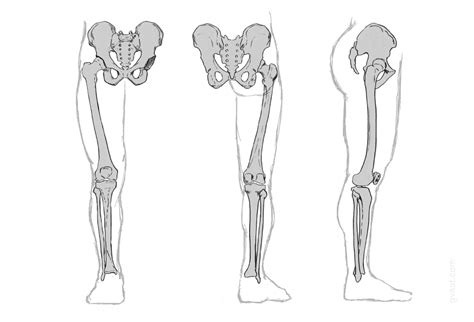 How To Draw The Knee Bent And Straight Step By Step Gvaats