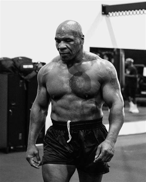 Técnicas De Boxeadores Mike Tyson Morales Box