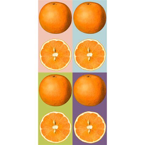 Jaffa Sweet Orange Tofujoe