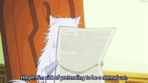 Anime Hump 
