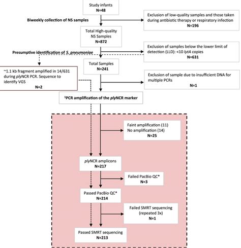 Flowchart Of Nasal Swab Ns Sample Processing For Pacbio Smrt