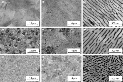 Scanning Electron Micrographs Recorded On Melt Spun Eutectic Agcu