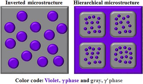 A Schematic Of An Inverted And A Hierarchical Microstructure Observed