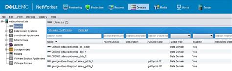 Networker Data Domain Capacity Issues Basic Environment Information Gathering Dell Us