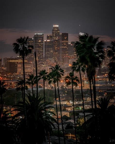 Los Angeles Skyline At Night With Palm Trees Skyline Landscape