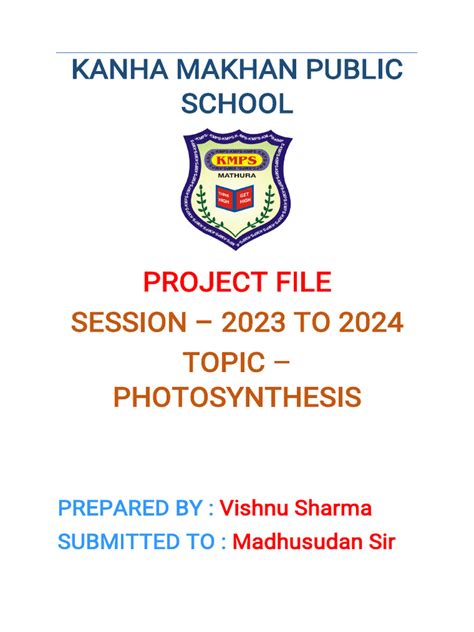 Biology Practical File Class 11 Pdf Photosynthesis Chloroplast