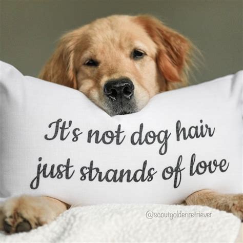 Scouthugs Vinyl Sticker Etsy