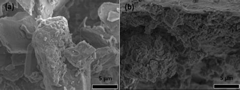 Sem Micrographs Of A ß Cyclodextrin And Repellent Essential Oil Based